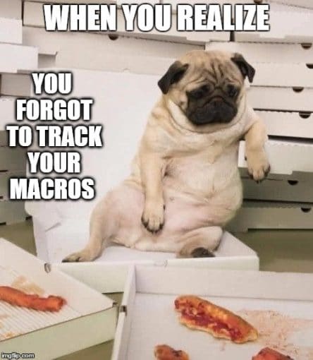 49+ Best Keto Diet Funny Memes and Jokes You Can Relate | KetoVale