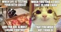 51+ Best Keto Diet Funny Memes and Jokes You Can Relate | KetoVale