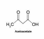 What Are Ketones and Why You Should Use It for Fuel?